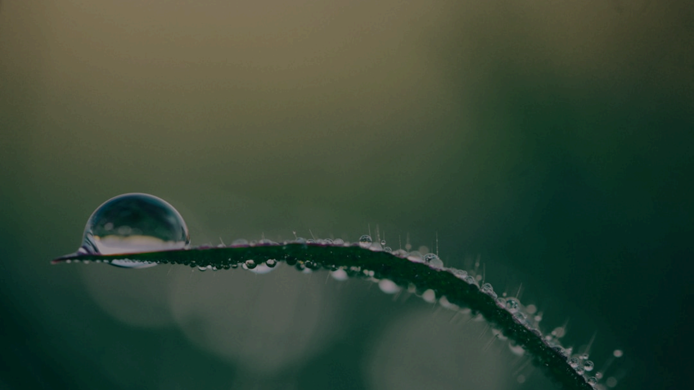 How to Add Emotes to Your Twitch Channel | Custom Emotes - Create ...