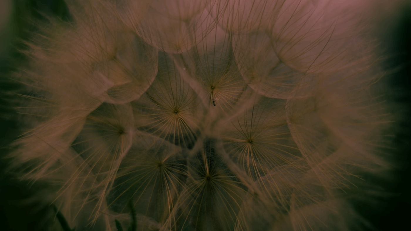 How Long Does Twitch Emote Approval Take | Custom Emotes - Create ...